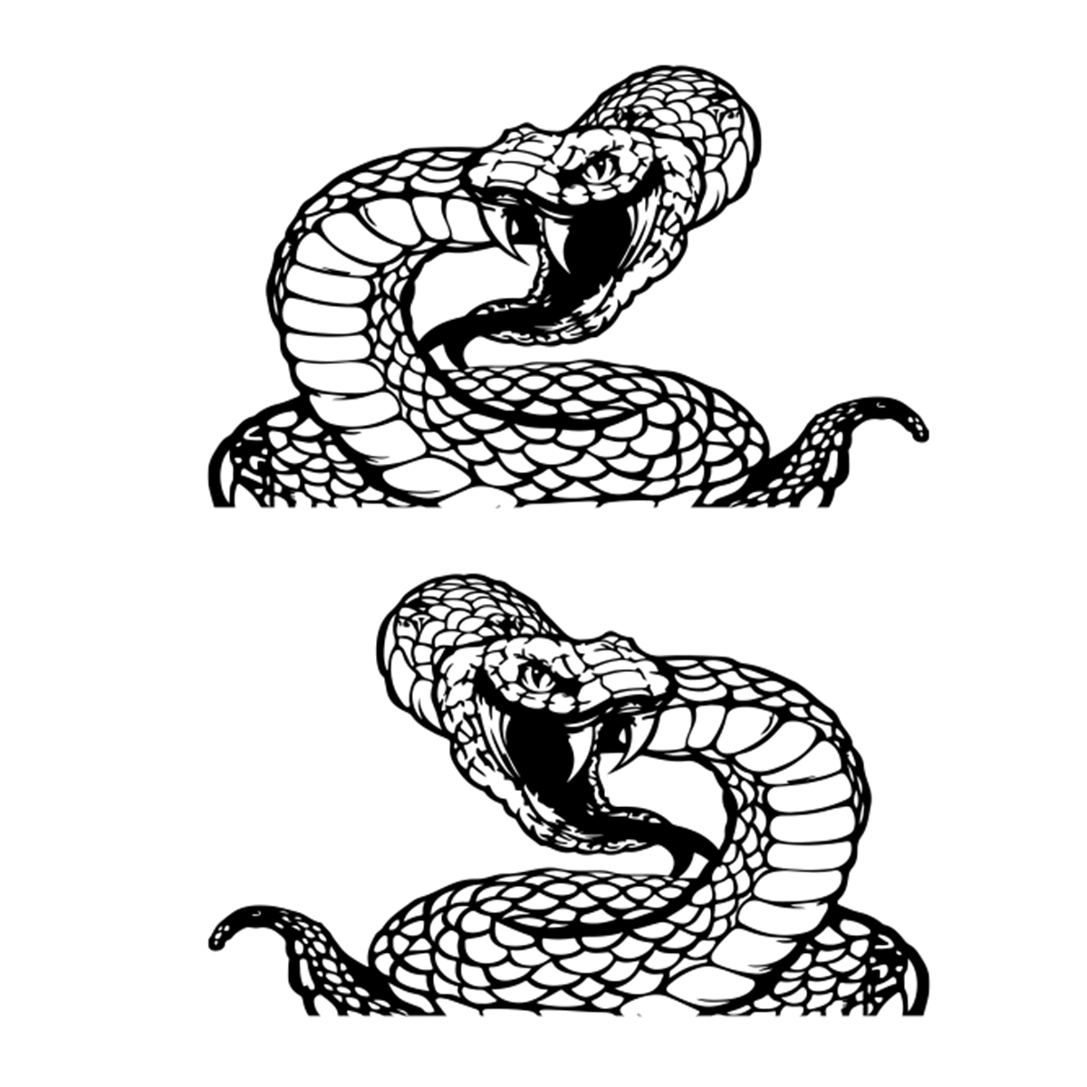 Coiled Snake Side Graphics – Rebel Decal